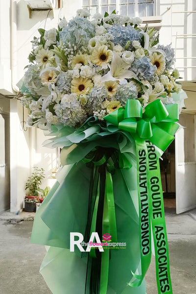 Aastrogum Light Yellow and Blue Inaugural Flowers – RA The Flowers Express